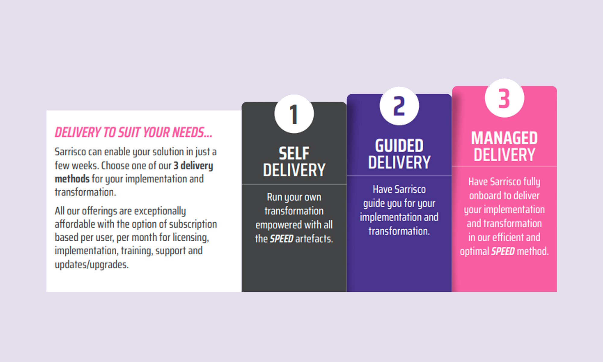 Oracle Cloud Transformation - SPEED Delivery Options - Sarrisco